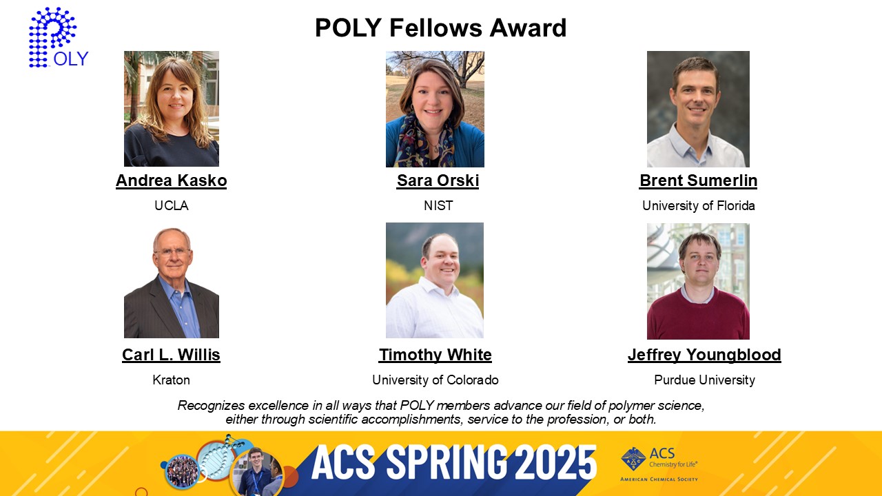 POLY Fellows – Division of Polymer Chemistry, Inc.